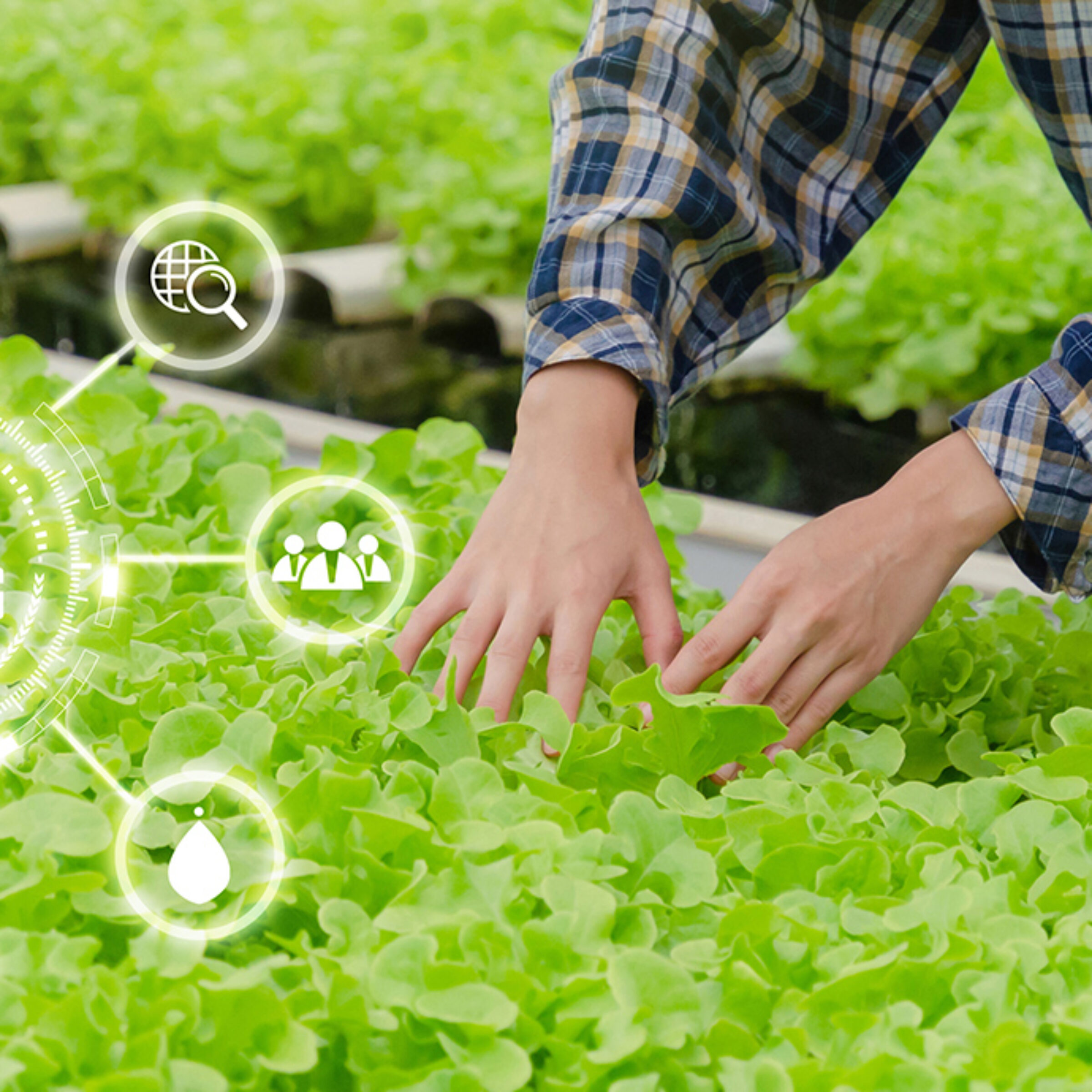 LoRaWAN® Infrastruktur as a Service