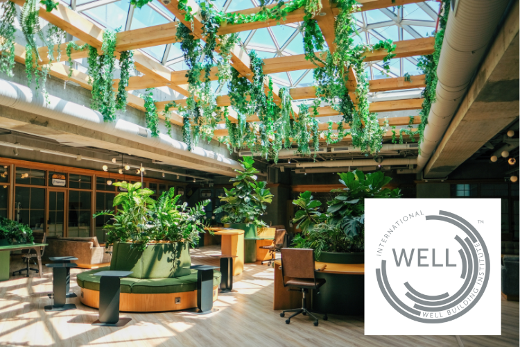 Ever heard of the WELL Building Standard? - m2m Germany